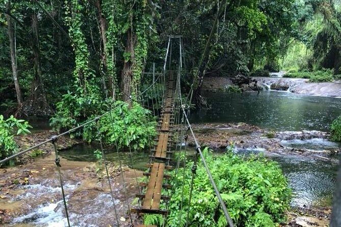 Bridges of Eden with Yumi Tours - Why You’ll Love This Experience