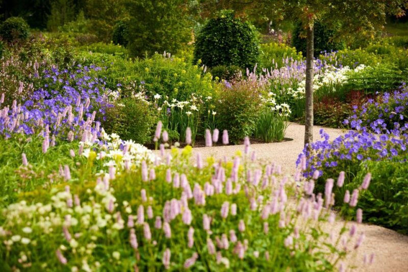 Bridgewater: Royal Horticultural Society Garden Ticket - The Practicalities: What You Need to Know Before Visiting