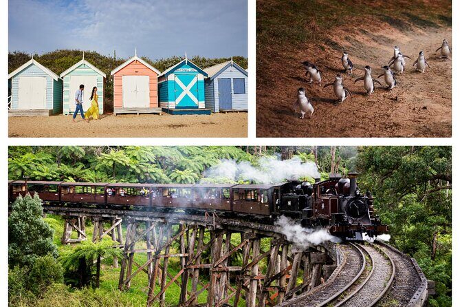 Brighton Bath Boxes & Puffing Billy & Penguin Parade 1-Day Tour - Key Points