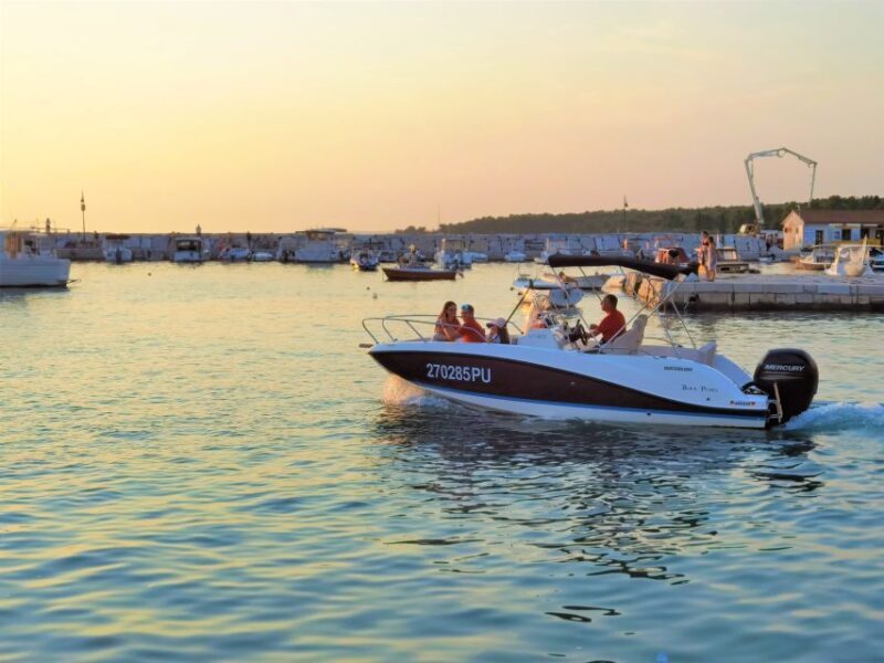 Brijuni Islands: Sunset & Dolphins private boat tour - Who Will Love This Tour?