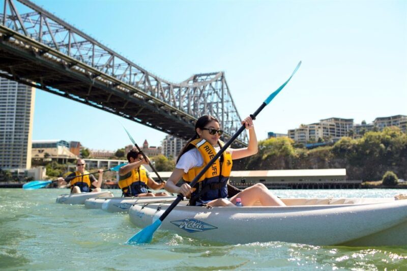 Brisbane: 2-Hour Kayak Hire on Brisbane River - Authentic Insights from Reviewers  