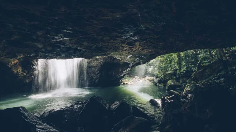 Brisbane: 6 Waterfalls, Koalas & Natural Bridge Day Tour - What Reviewers Say  