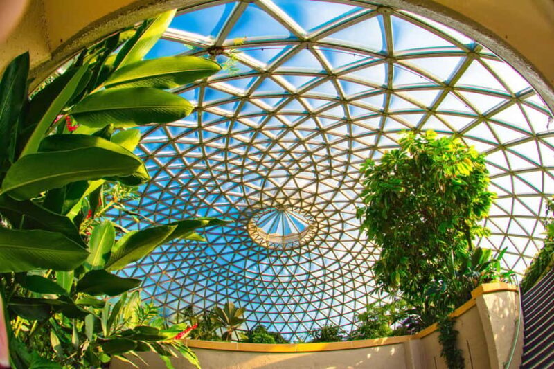 Brisbane Bus Tour: City highlights & Mt Coot-tha Lookout - Value and Practical Considerations