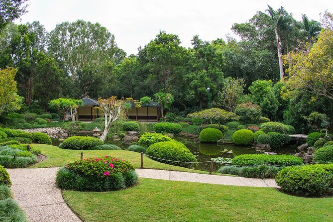 Brisbane Bus Tour: City & River Views - Final Thoughts