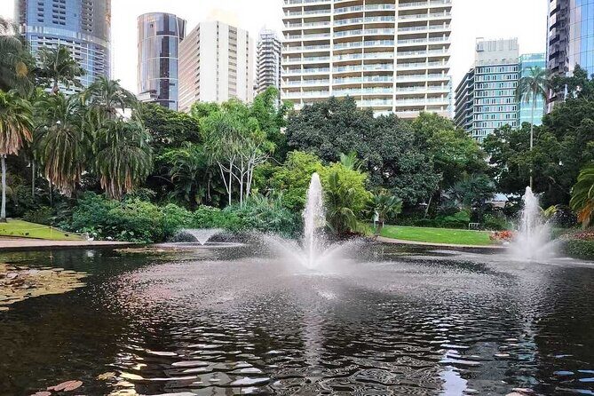 Brisbane Drive by Day - Private Tour - Who Is This Tour Best For?
