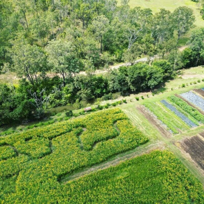 Brisbane Farm Day Trip | Ellia's Garden Scenic Rim - Key Points