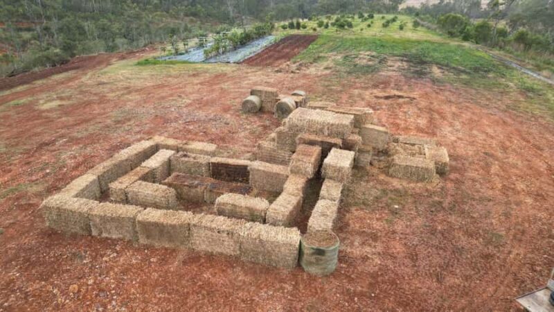 Brisbane Farm Day Trip | Ellia's Garden Scenic Rim - Who Will Love This Tour