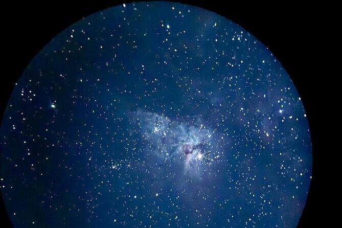 Brisbane: Glow Worms, Sunset, Telescope Stargazing & Dinner - Additional Highlights and Reviewer Insights