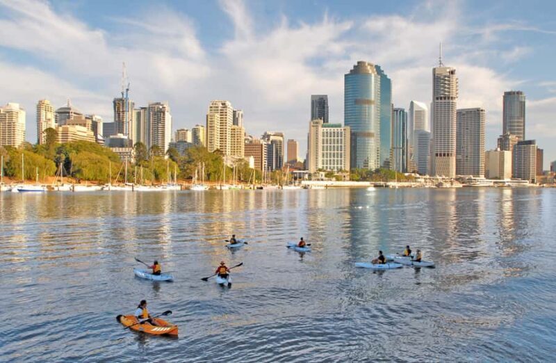 Brisbane: Guided River Kayak Tour - What the Tour Entails