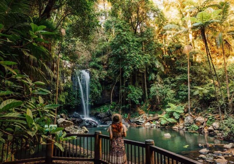 Brisbane: Hop on Hop off Bus to Tamborine Mountain - Who Should Consider This Tour?