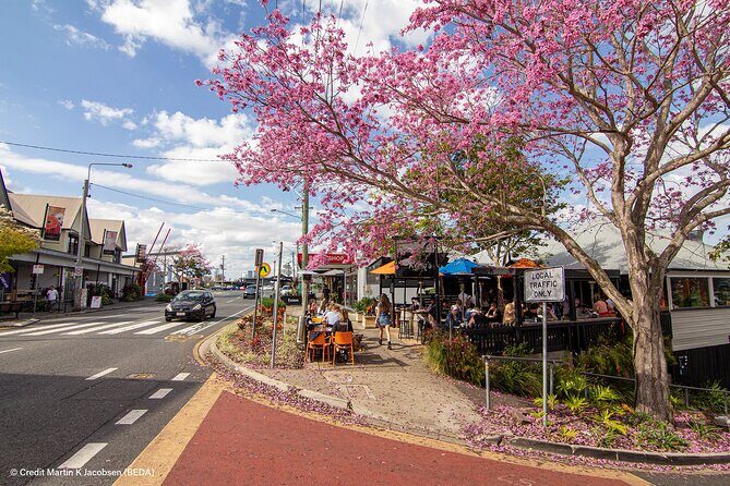 Brisbane Insights Tour - Authentic Insights from Past Travelers