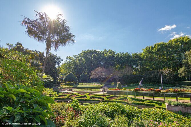 Brisbane Insights Tour - Final Thoughts: Who Should Consider This Tour?