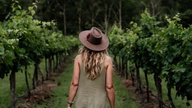 Brisbane: Luxury Winery Tour with Gourmet Lunch & Distillery - An In-Depth Look at the Experience