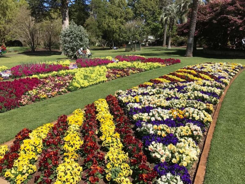 Brisbane: Personal Southeast Queensland Tour - Authentic Insights from Reviewers