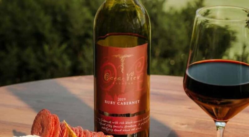 Brisbane: Picnic in the Vines - The Value of This Experience