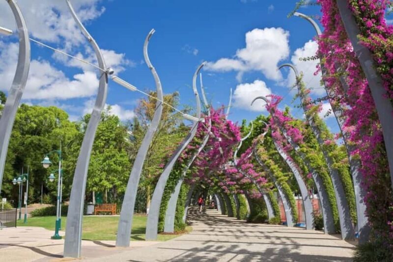 Brisbane: Private custom tour with a local guide - The Value of a Private, Custom Experience