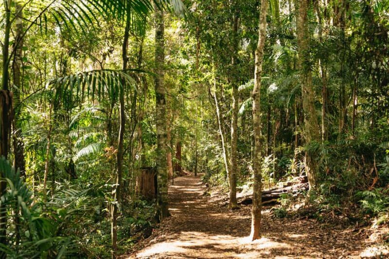 Brisbane: Rainforests, Waterfalls and Glow Worm Cave Tour - Key Points