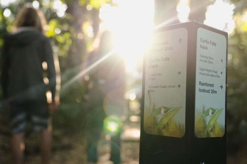 Brisbane: Rainforests, Waterfalls and Glow Worm Cave Tour - The Sum Up