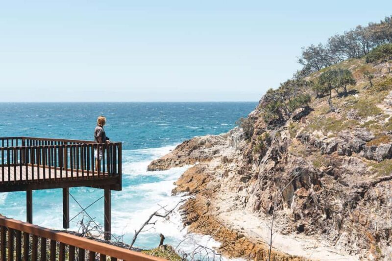 Brisbane: Stradbroke Island Eco Tour - Small Group, Full Day - Authentic Wildlife and Cultural Encounters