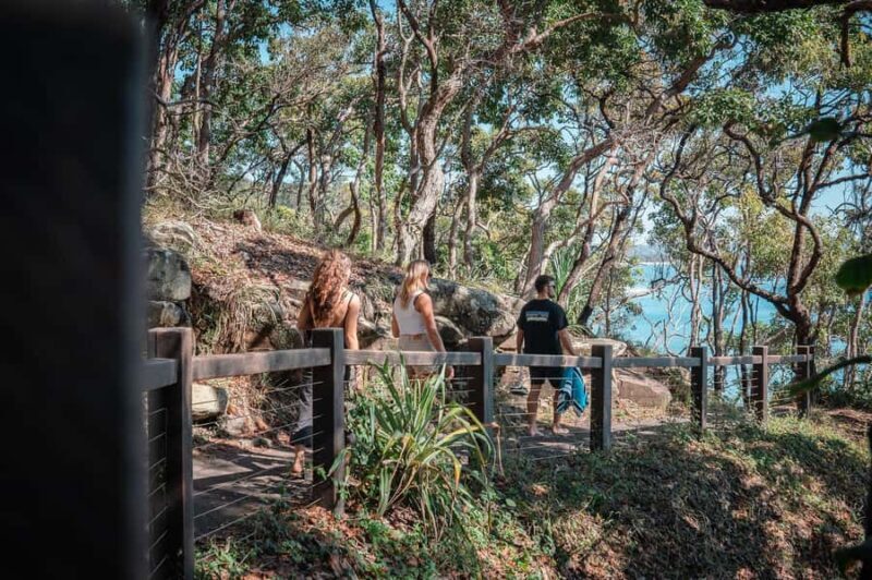 Brisbane: Sunshine Coast Hinterland & Noosa Scenic Tour - Value and Practical Tips