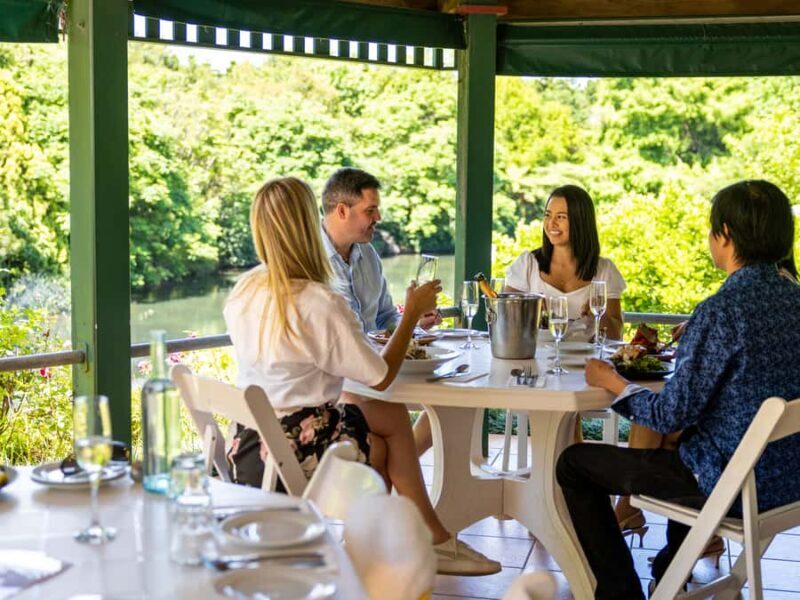 Brisbane: Tamborine Mountain Local Winery Tour with Lunch - An In-Depth Look at the Experience
