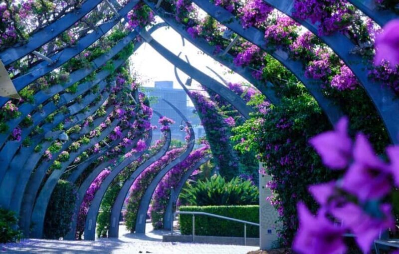 Brisbane, the River City Walking Tour - The Experience in Detail