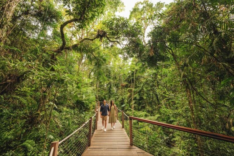 Brisbane to Daintree Whitsundays & Reef 9 Day Comfort Tour - Key Points  