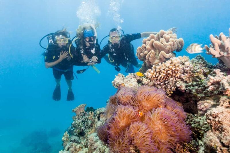 Brisbane to Daintree Whitsundays & Reef 9 Day Comfort Tour - FAQ