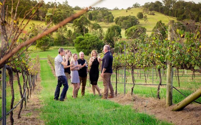 Brisbane: Wine & Dine In The Vines - Is It Worth the Price?