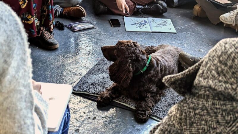 Bristol: Dog Life Drawing led by local Artist Cai Burton - Key Points