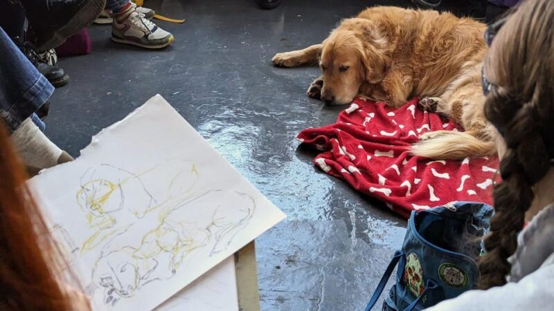 Bristol: Dog Life Drawing led by local Artist Cai Burton - The Guidance and Teaching Style of Cai Burton