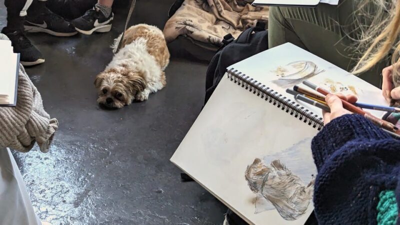Bristol: Dog Life Drawing led by local Artist Cai Burton - Who Will Love This Tour?