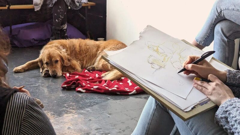 Bristol: Dog Life Drawing led by local Artist Cai Burton - The Sum Up