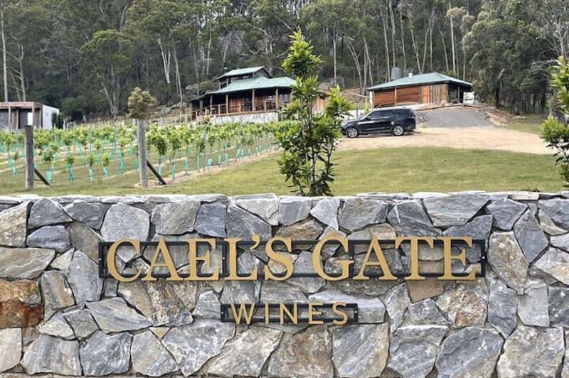 Broke: Guided Caels Gate Wine Tasting - Key Points