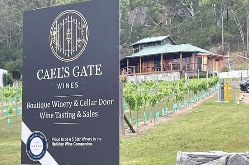 Broke: Guided Caels Gate Wine Tasting - What to Expect During Your Tasting