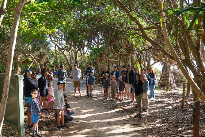 Broken Head Aboriginal Tour - Unpacking the Experience: What to Expect from the Broken Head Aboriginal Tour