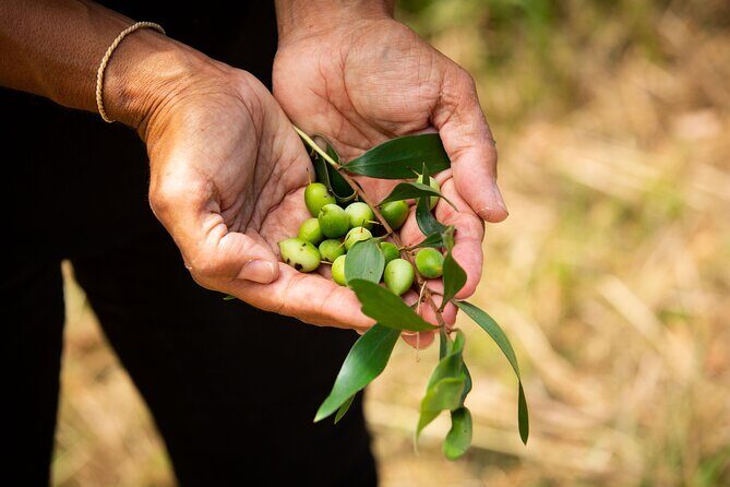 Broken Head Aboriginal Tour - Who Will Love This Tour?