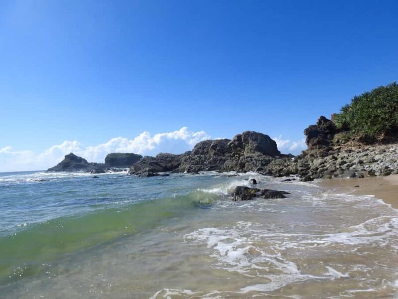 Broken Head: Nature Reserve Guided Eco-Tour with Beach Visit - Key Points