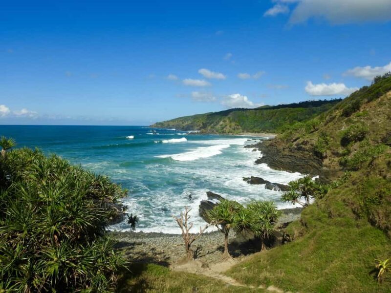 Broken Head: Nature Reserve Guided Eco-Tour with Beach Visit - A Close Look at the Itinerary