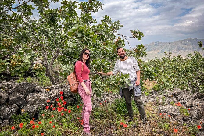 Bronte Pistachio Farm Tour and Lunch with Farmer - Key Points