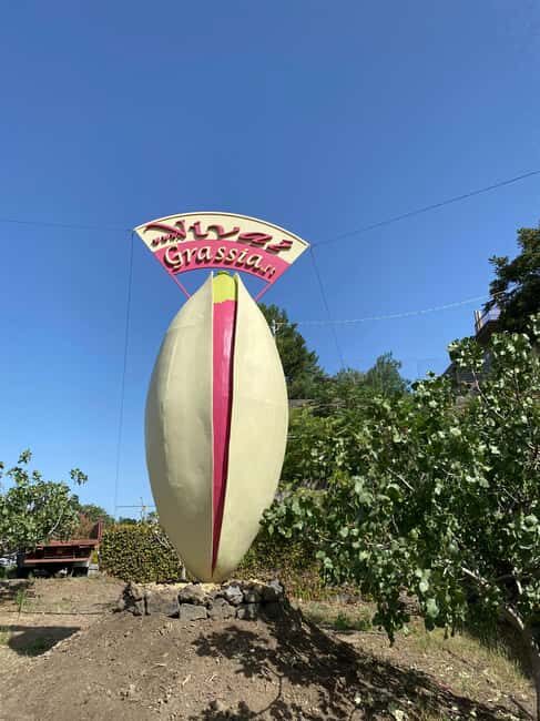 Bronte: Pistachio Grove Tour with Visit and Tasting - Final Thoughts  
