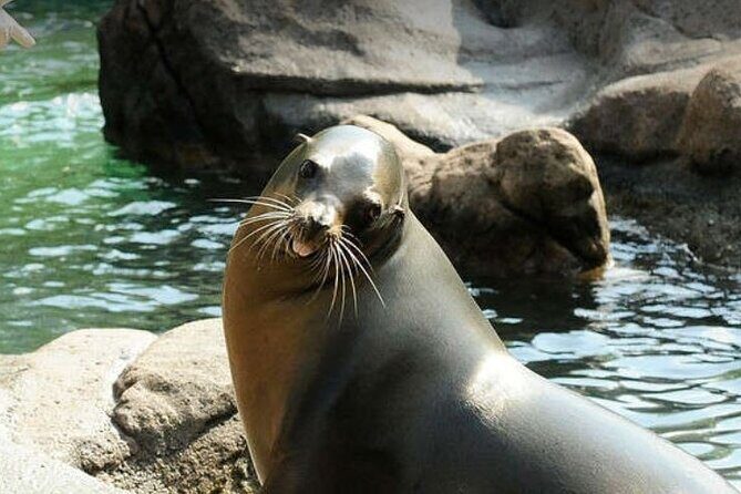 Bronx Zoo Admission Ticket - The Bottom Line: Who Is This Experience Best For?