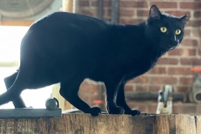 Brooklyn Distillery Tour - Key Points