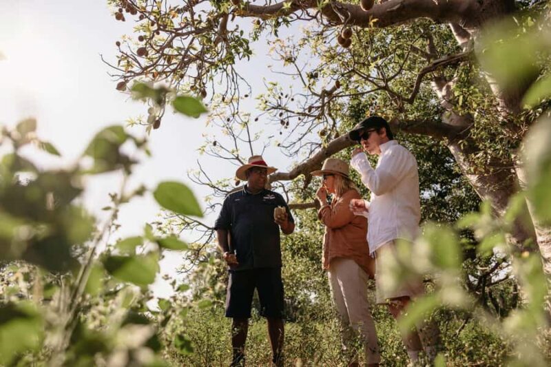 Broome: Cable Beach Indigenous Walking Tour - What Is the Cable Beach Indigenous Walking Tour?