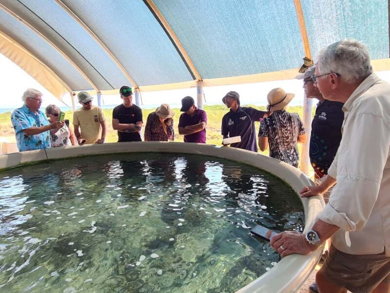 Broome: Dampier Peninsula Tour (Optional Scenic Flight) - Discovering the Dampier Peninsula: What You Can Expect