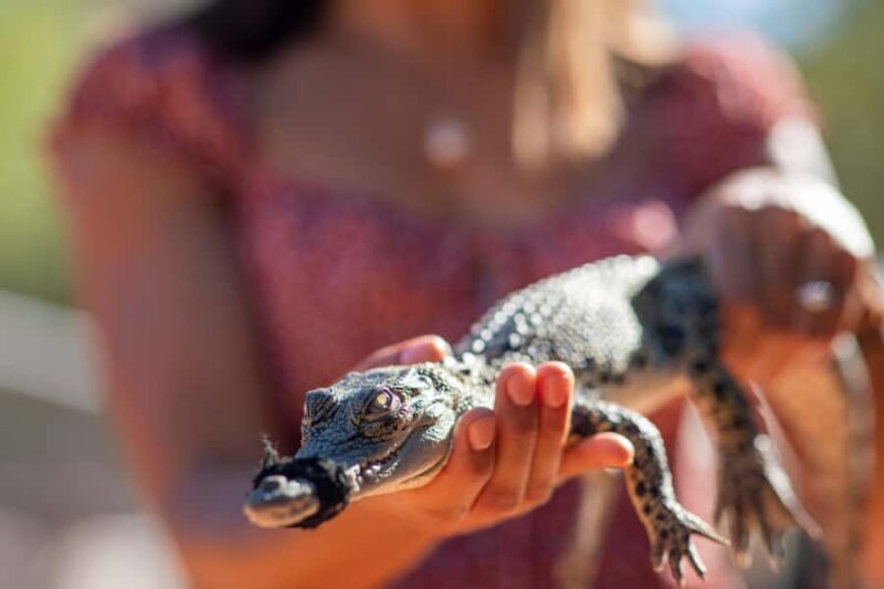 Broome: Matso's Brewery, Museum & Crocodile Park Combo Tour - Overview of the Broome Experience