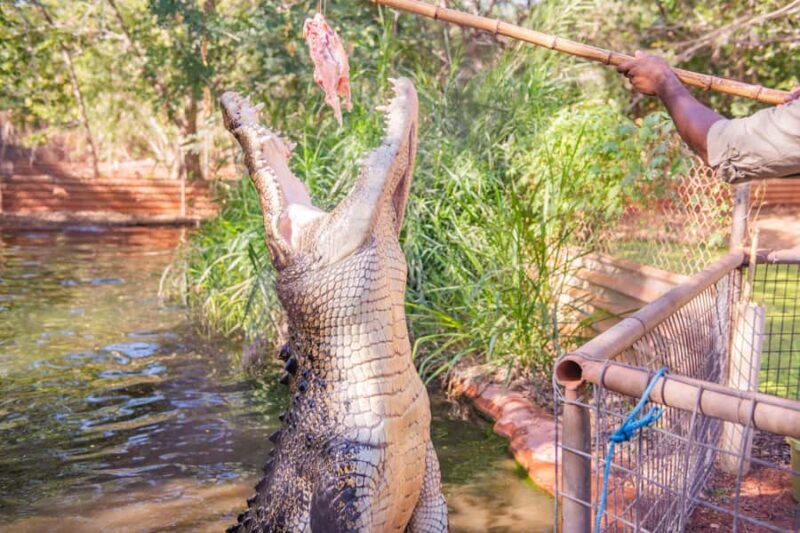 Broome: Matso's Brewery, Museum & Crocodile Park Combo Tour - What Makes This Tour Stand Out?