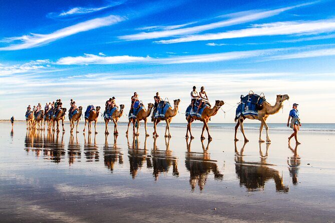 Broome Pre-sunset Camel Tour 30 minutes - The Itinerary in Detail