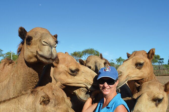 Broome Pre-sunset Camel Tour 30 minutes - Who Will Love This Experience?