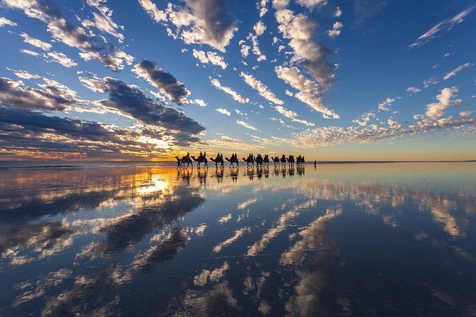 Broome Pre-sunset Camel Tour 30 minutes - The Sum Up